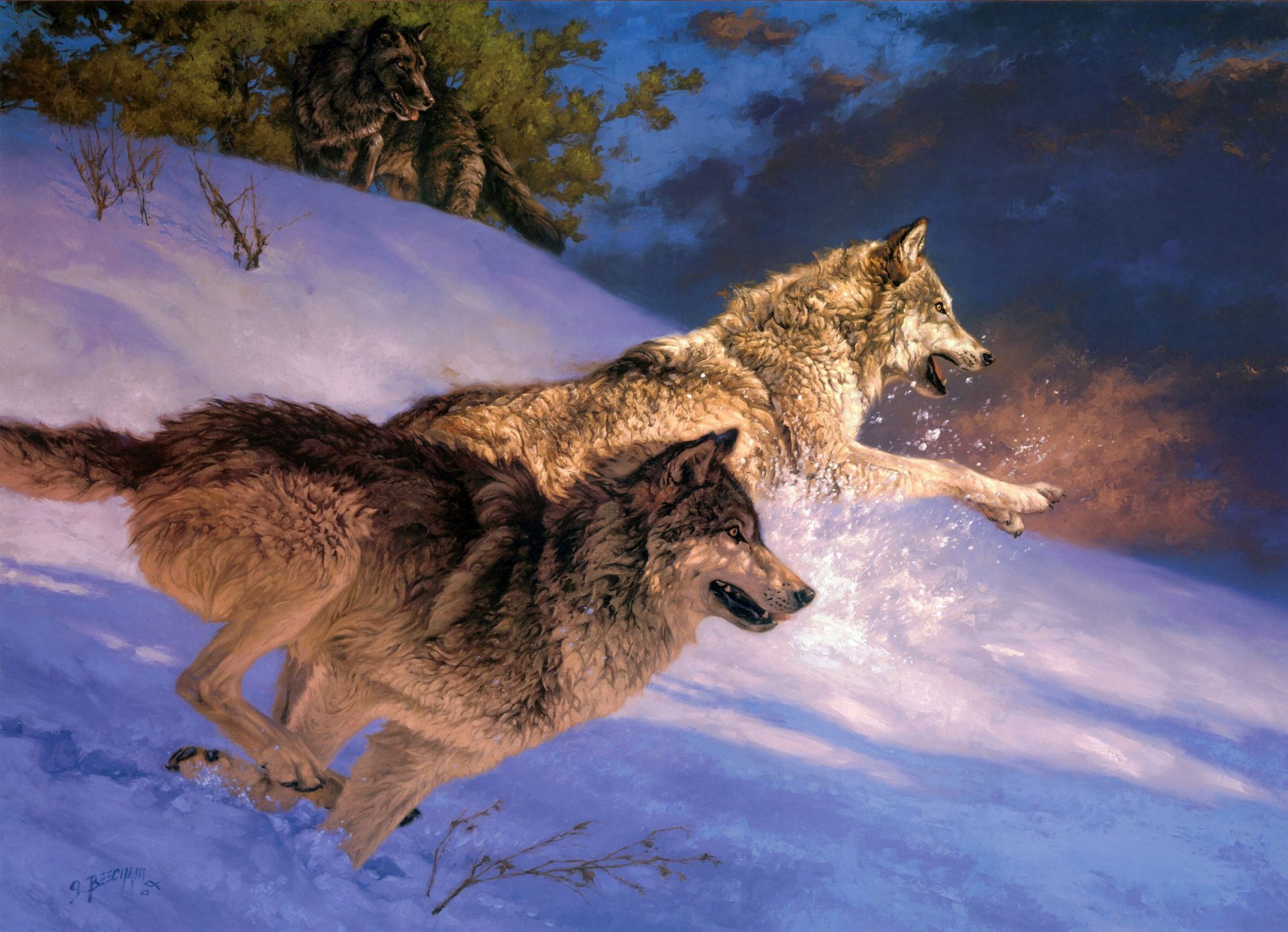 Dynamic Wolf Duo - HD Wallpaper