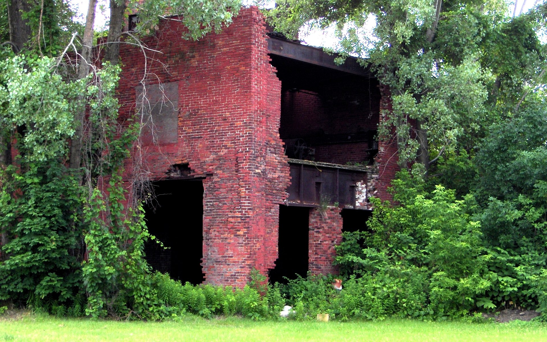 Overgrown Brick Building by HandofShadows