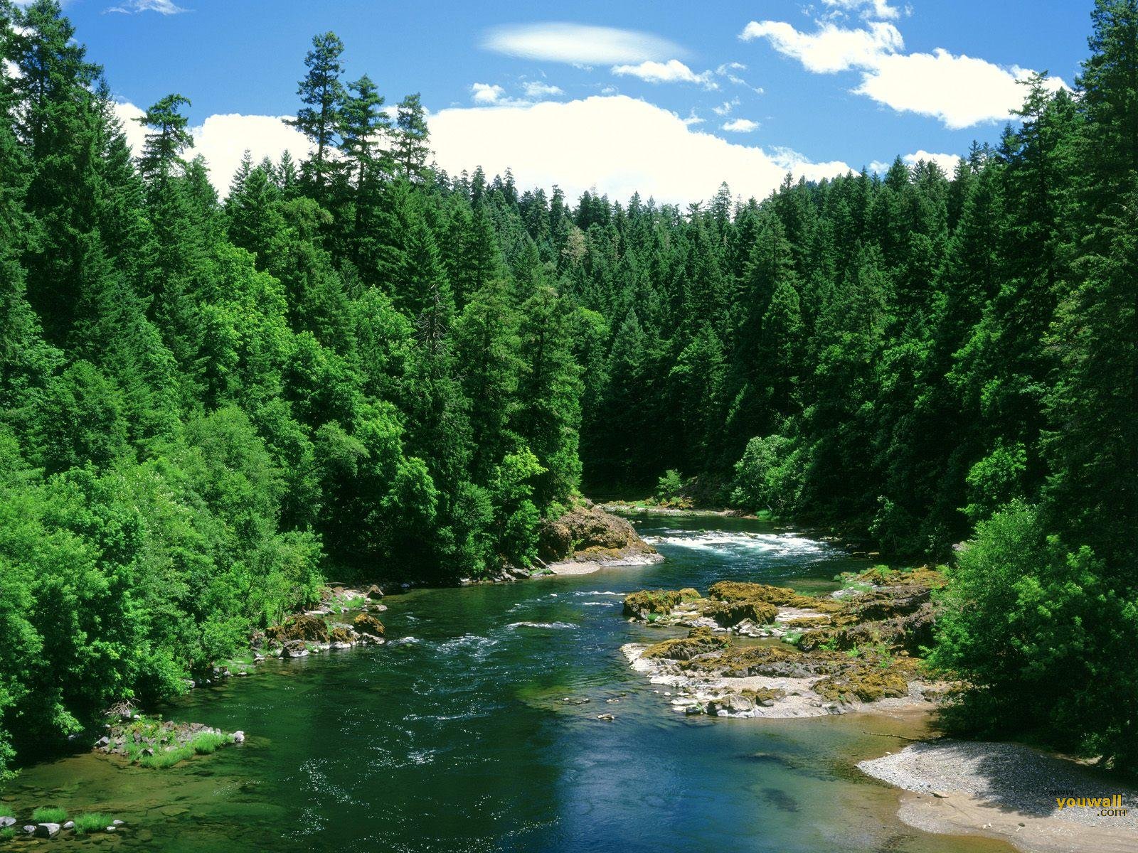 Download Nature River Wallpaper