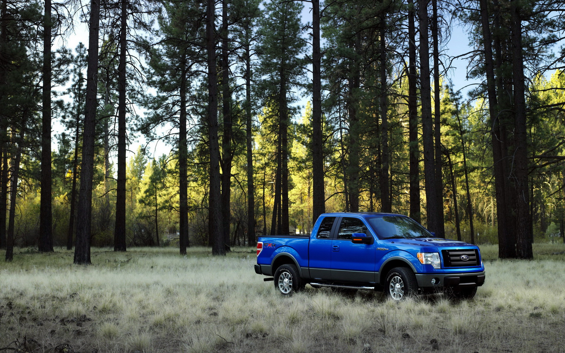 Download Vehicle Ford F-150 Ford F-150 Wallpaper