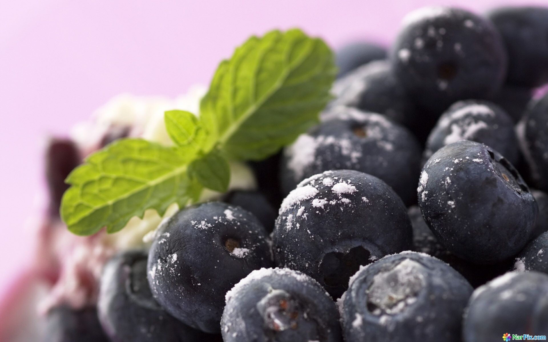 Download Food Blueberry HD Wallpaper