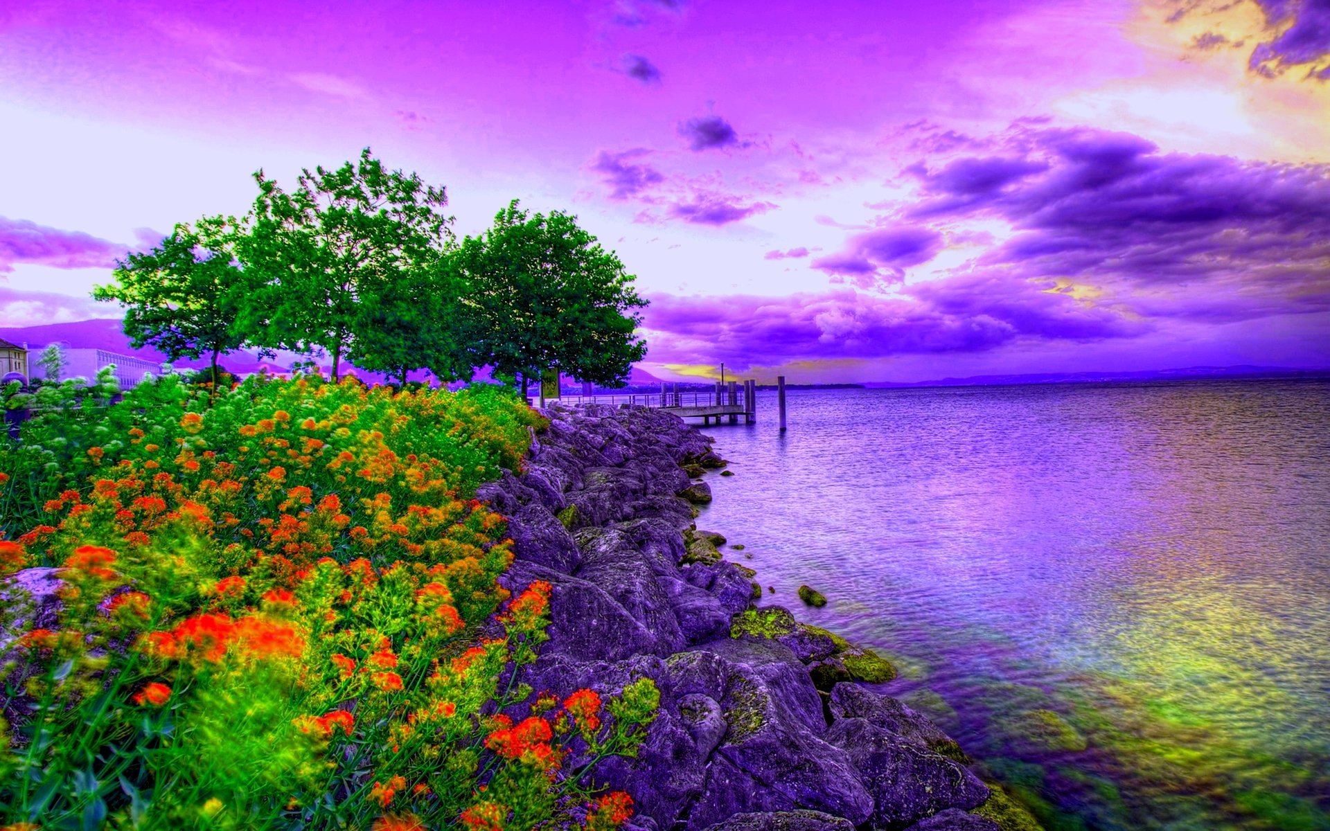 Violet Breeze: Scenic Lakeside Photography HD Wallpaper | 1920x1200 ...