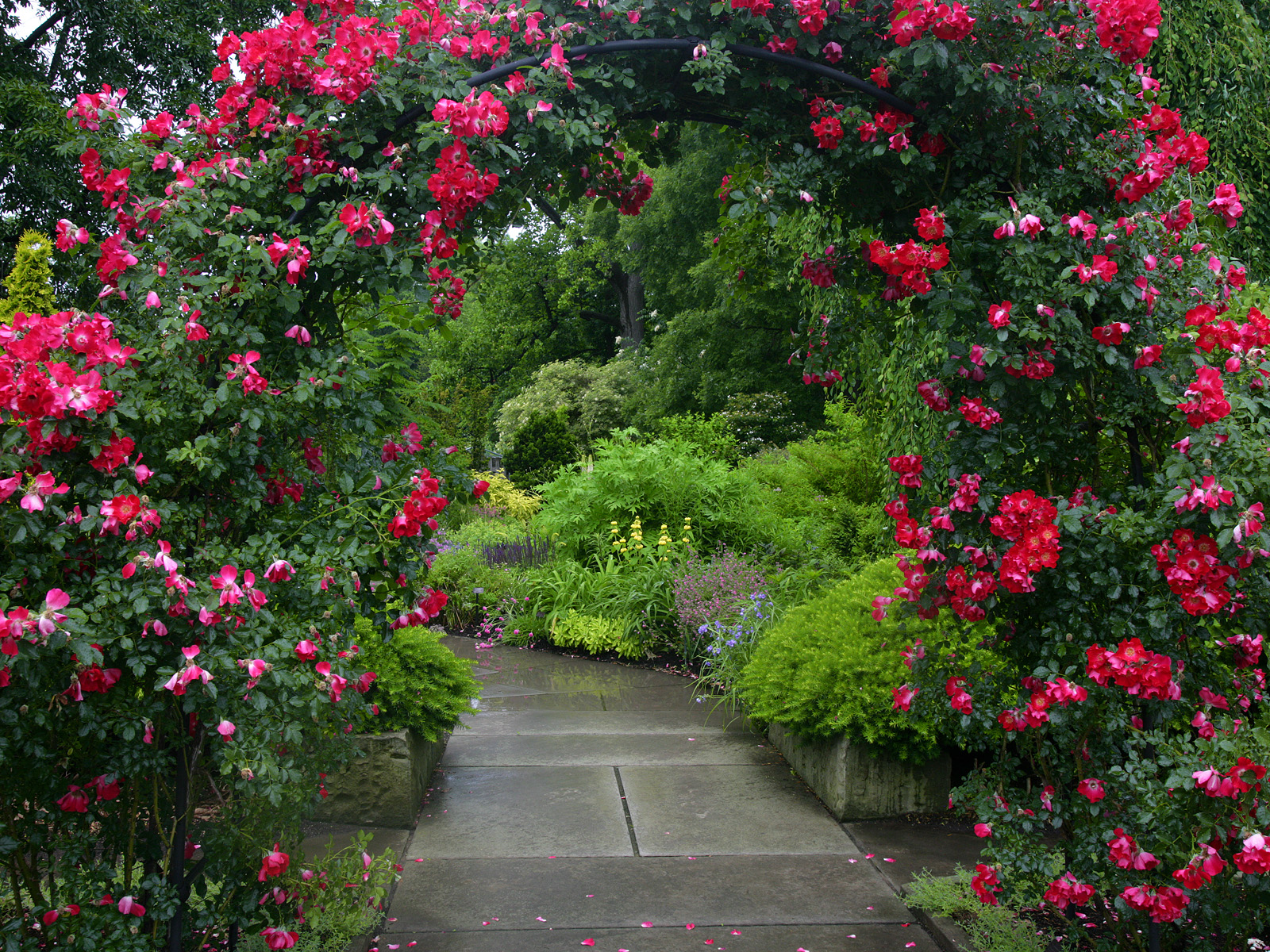 Download Photography Park Wallpaper