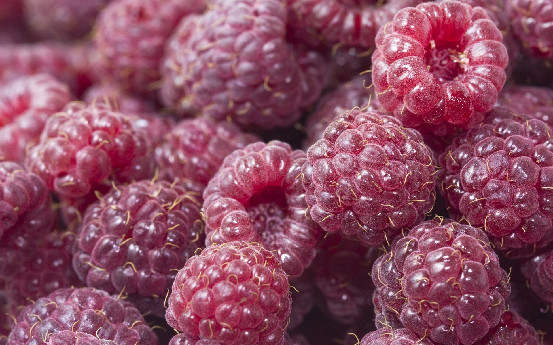 Fresh Raspberry Delight HD Wallpaper