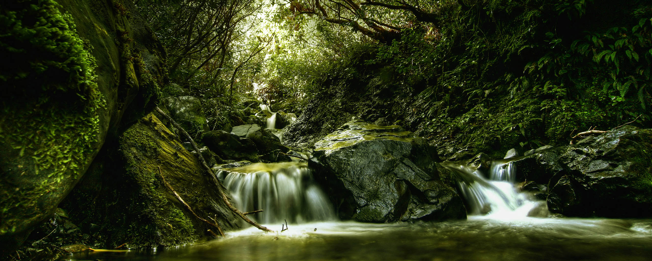 Download Nature Stream Wallpaper