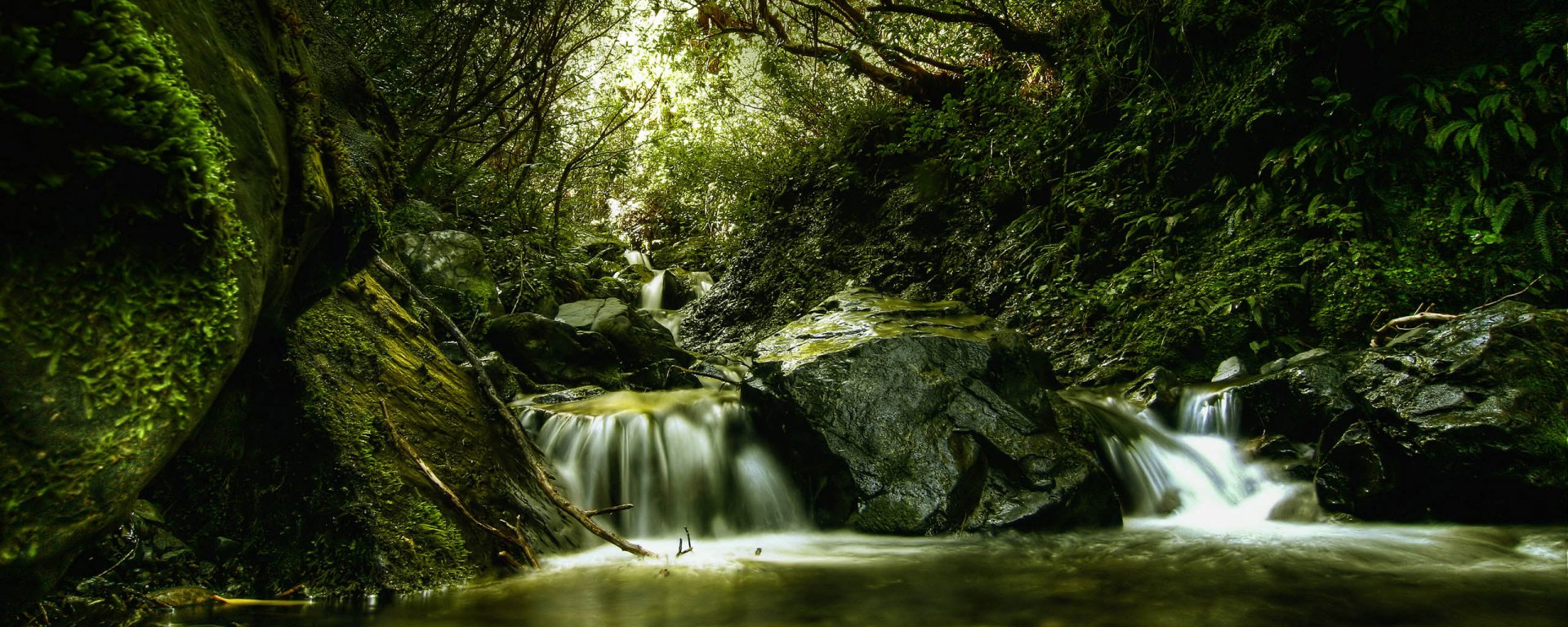 Mossy Woodland Stream — HD Nature Wallpaper | 2560x1024 | Wallpaper Abyss