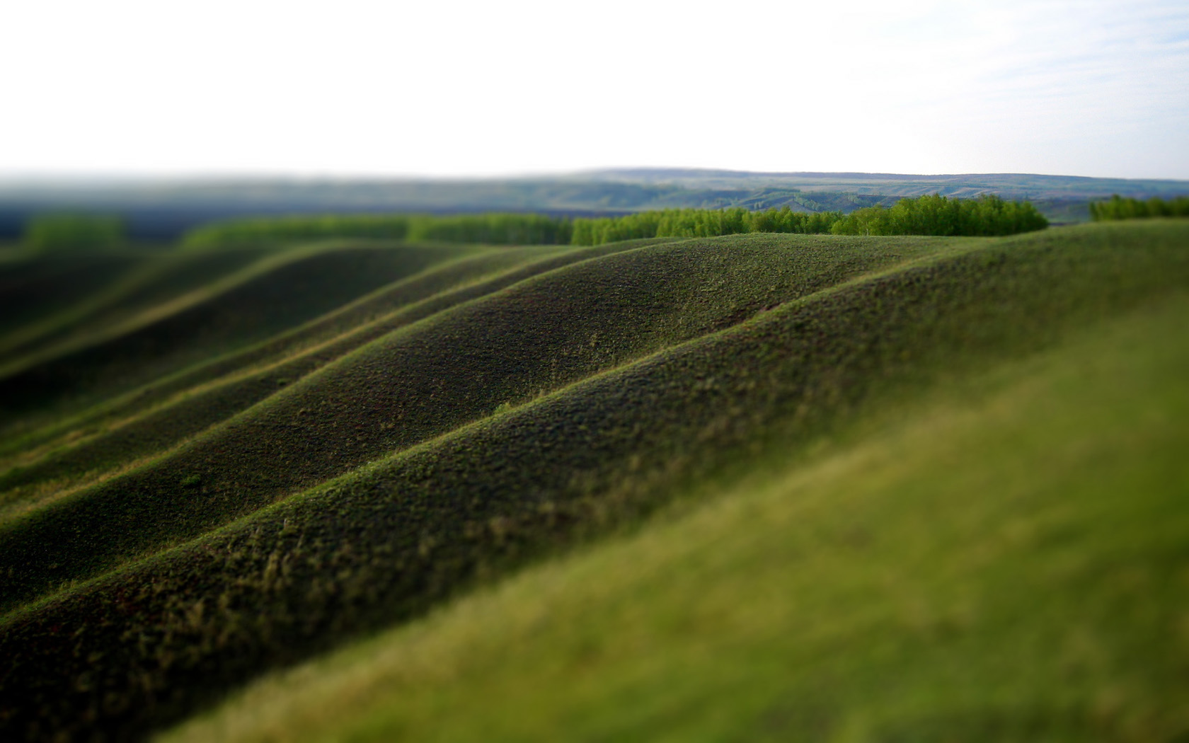 Download Nature Field Wallpaper