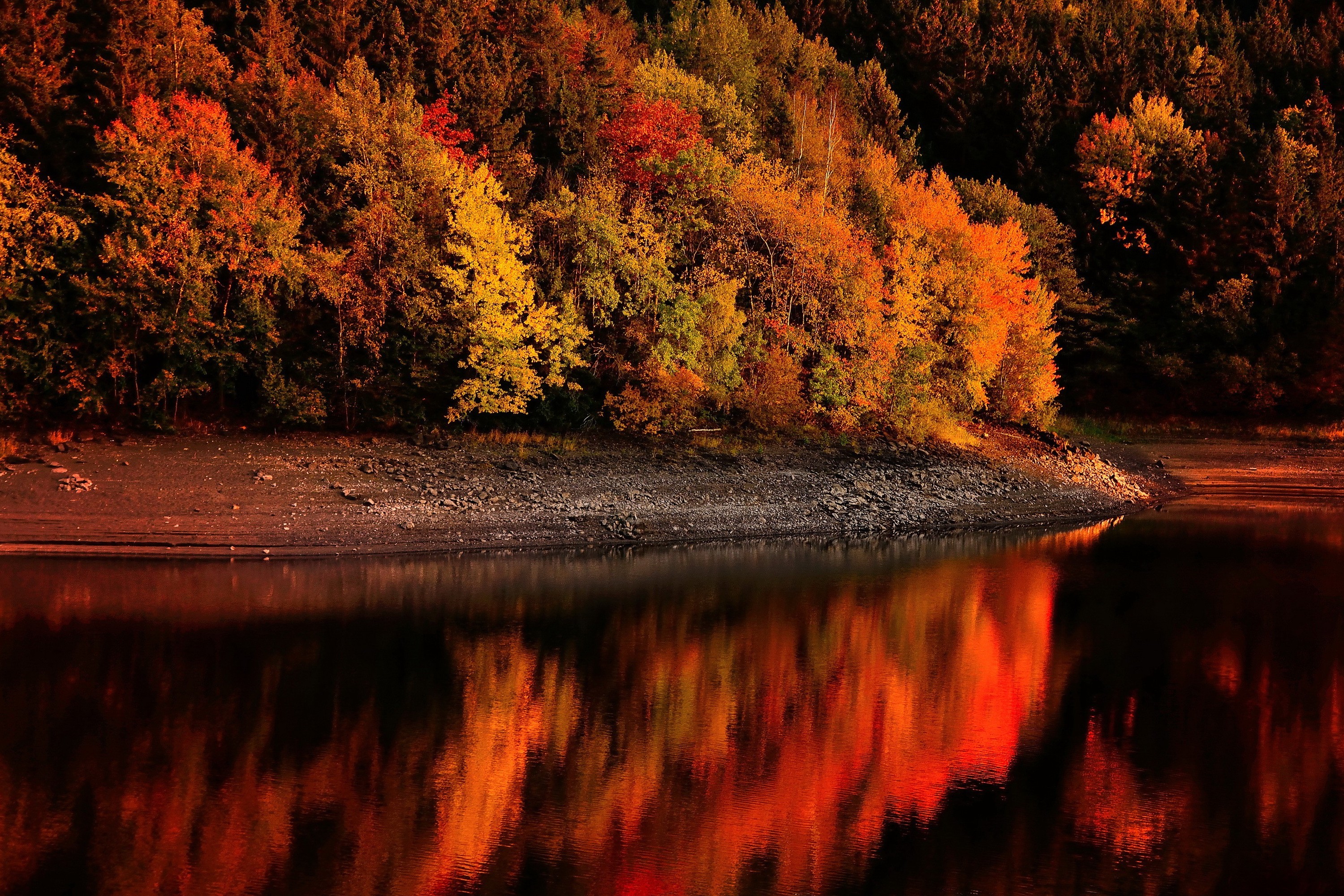 Autumn Serenity: Vibrant River and Forest HD Wallpaper