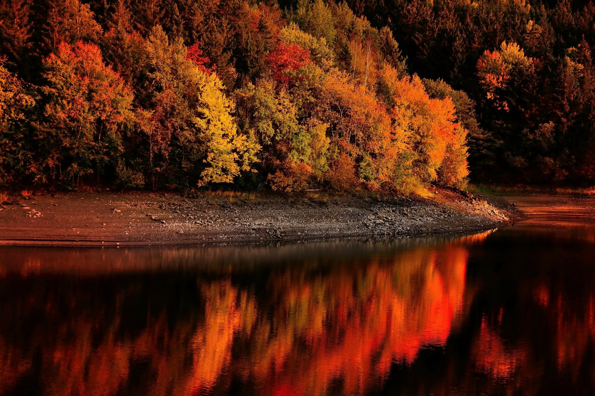 Autumn Serenity: Vibrant River and Forest HD Wallpaper | 3000x2000 ...