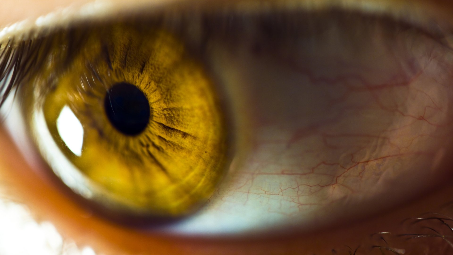 Women Eye 4k Ultra HD Wallpaper