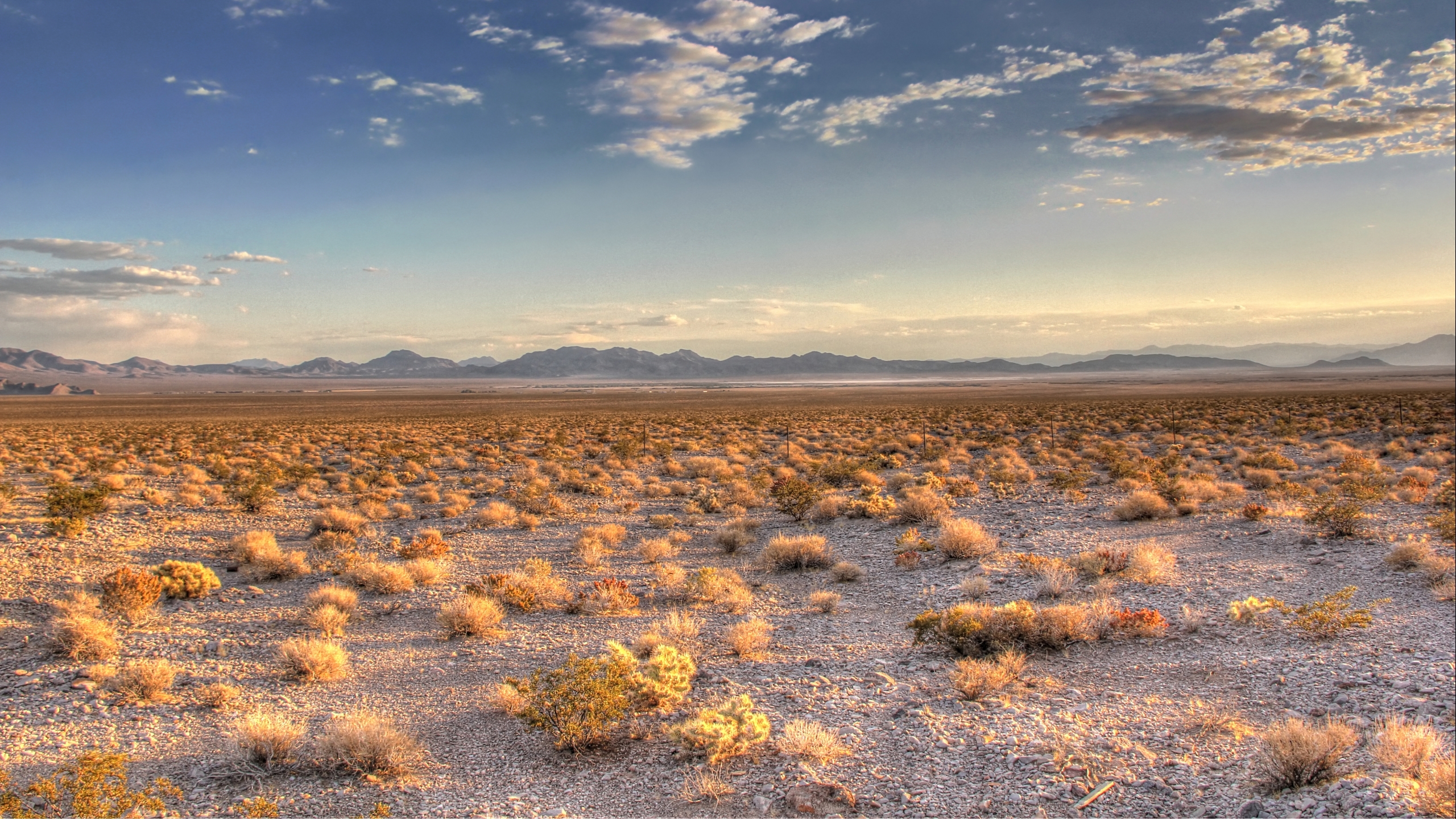 Steppe Full HD Wallpaper and Hintergrund | 2560x1440 | ID:559757