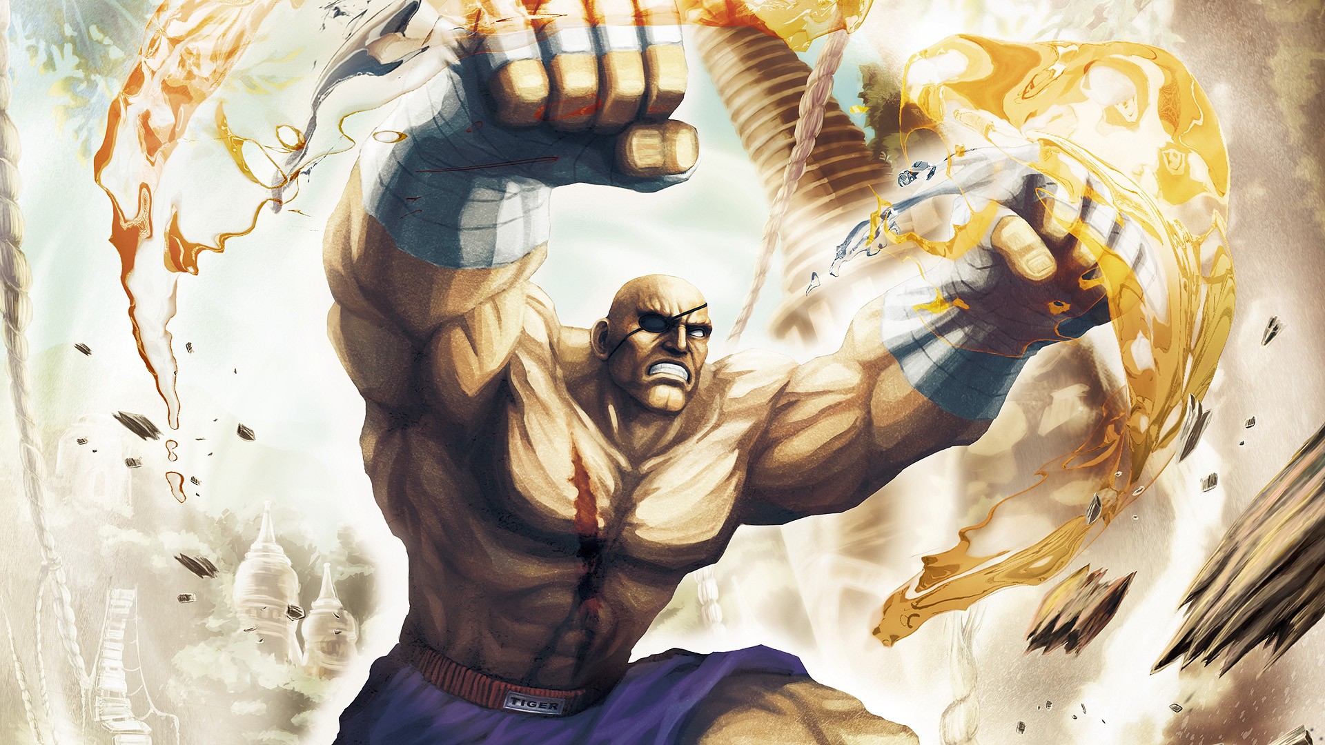 Street Fighter HD Wallpaper: Epic Showdown in Action