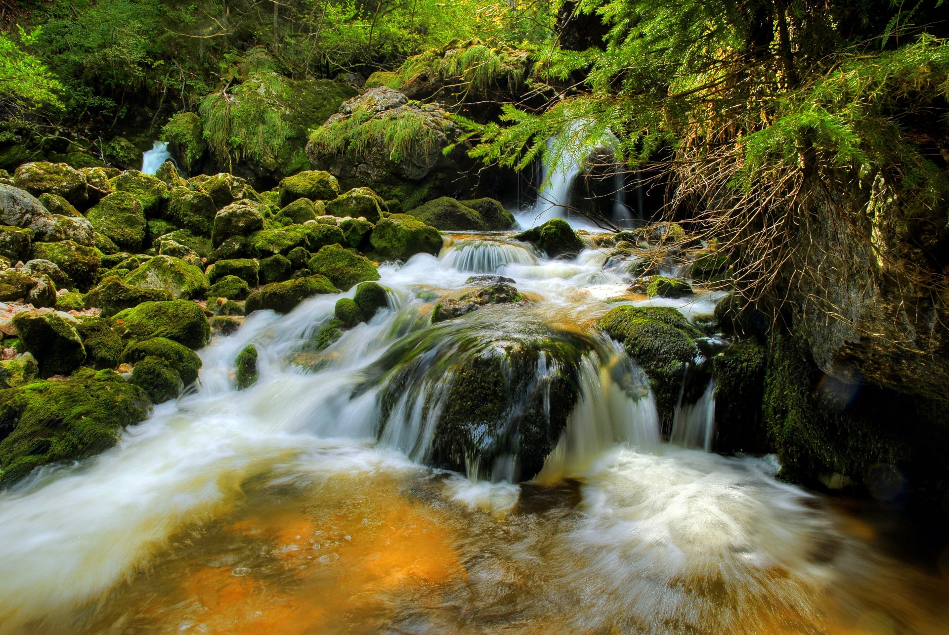 Nature Waterfall 4k Ultra HD Wallpaper
