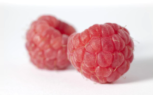 [530+] Raspberry 4k Wallpapers