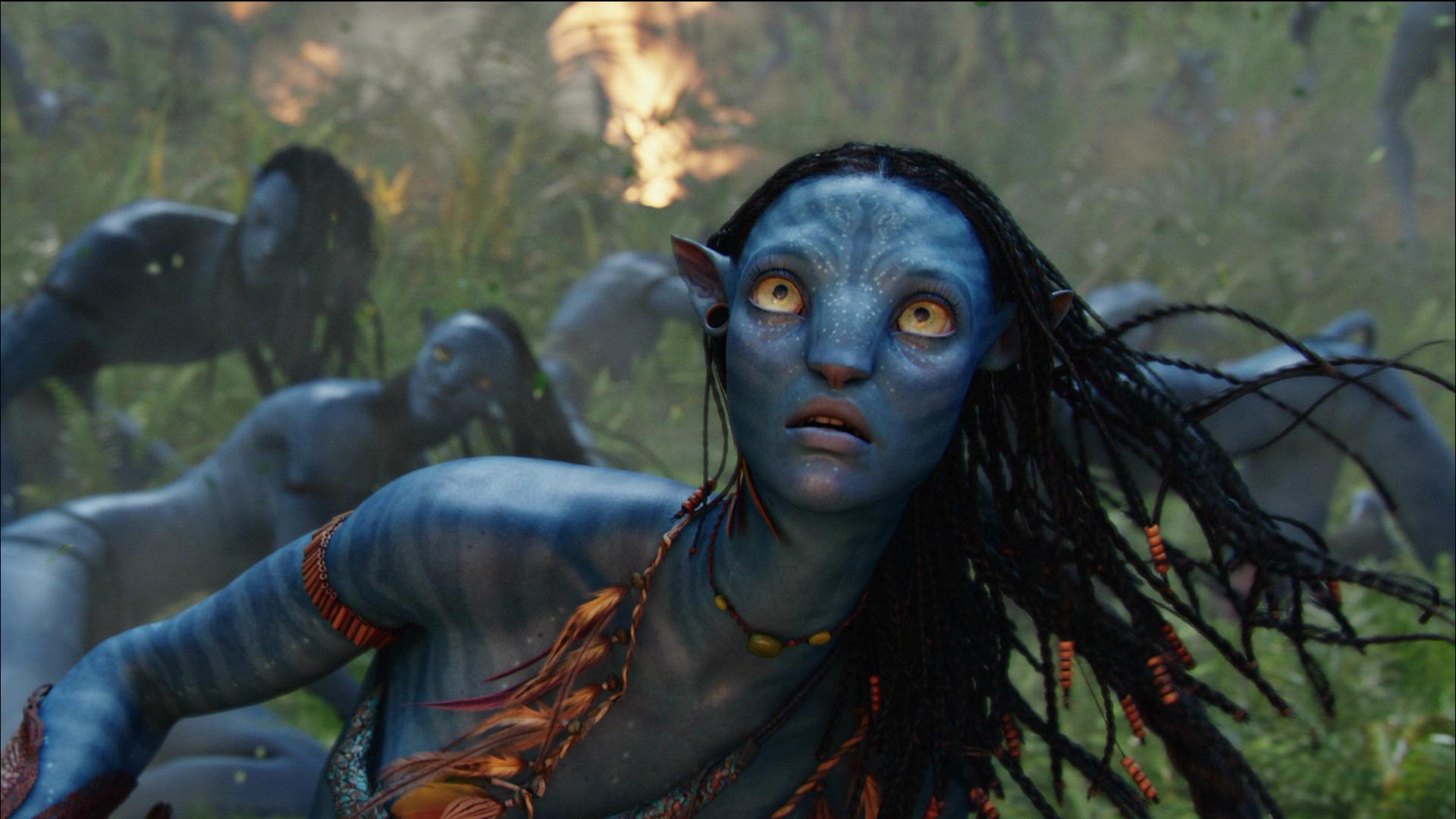 Download Movie Avatar HD Wallpaper