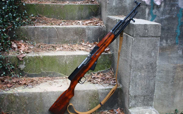 Download Man Made SKS Rifle HD Wallpaper