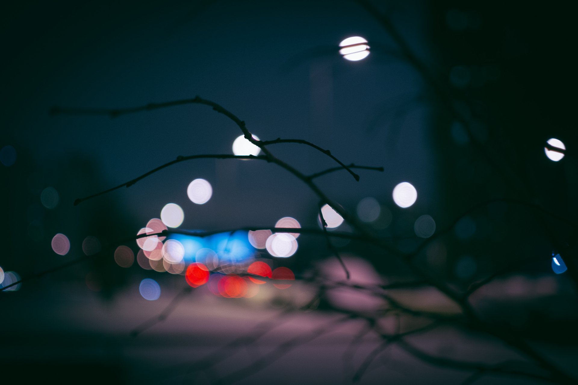 Download Branch Bokeh Photography Night HD Wallpaper