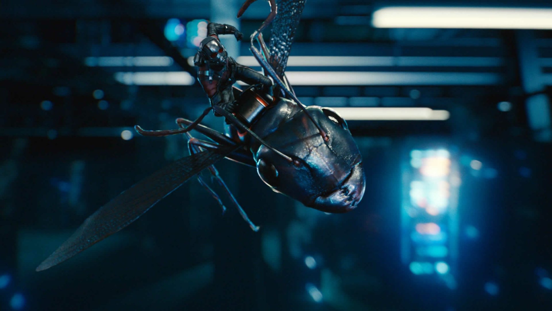 Ant-Man HD Wallpaper: A Marvelous Insect Adventure