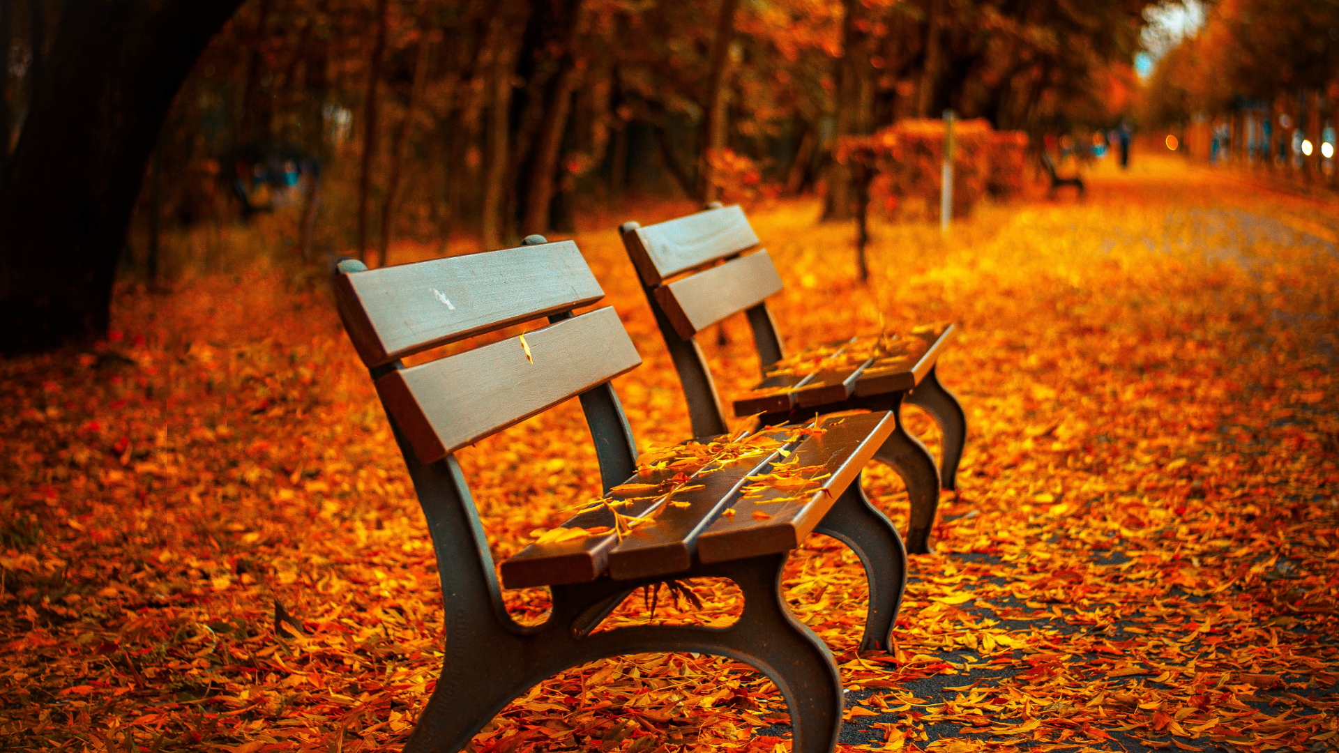 Man Made Bench HD Wallpaper