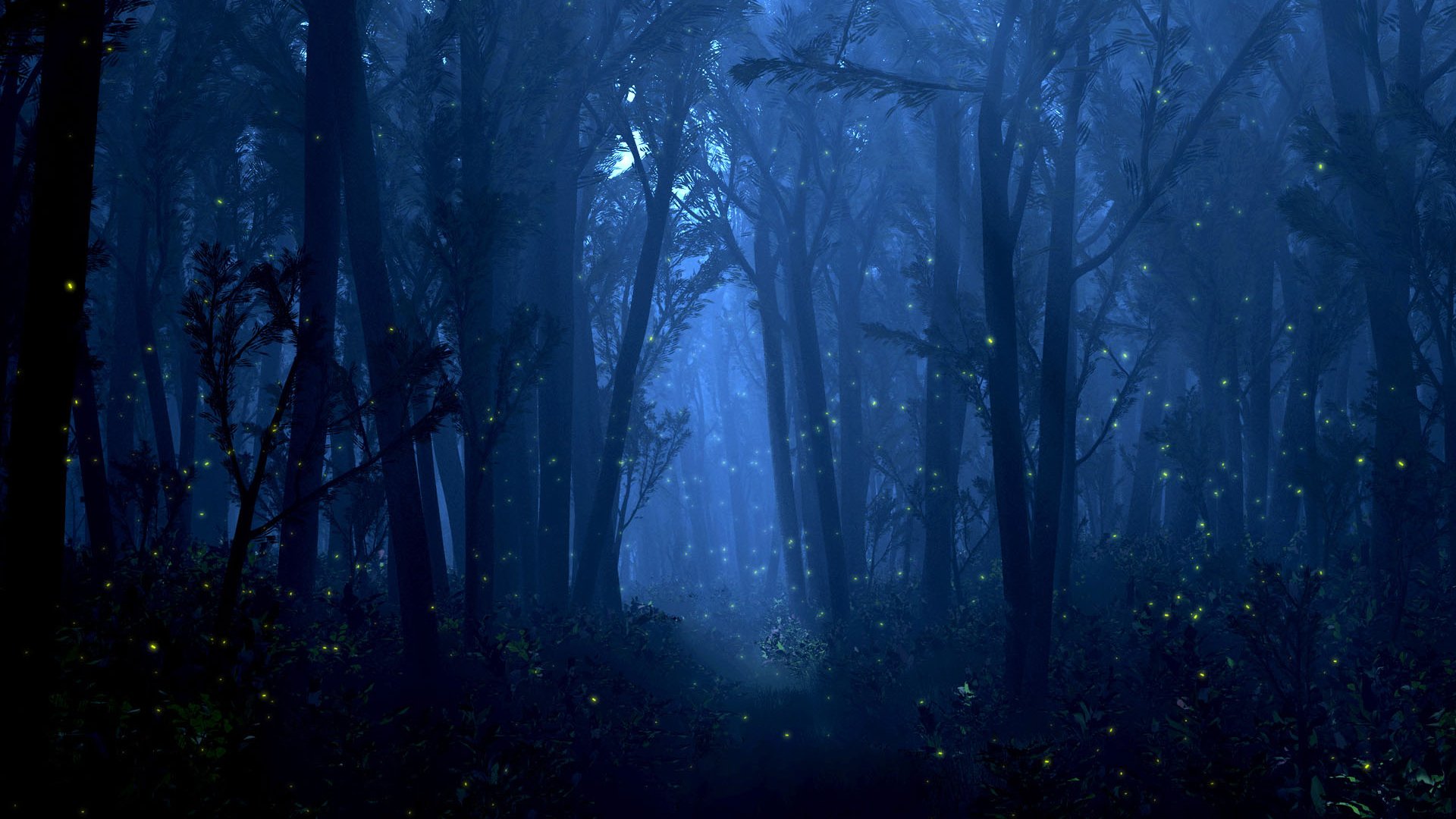 Forest HD Wallpaper | Background Image | 1920x1080 | ID:609934 ...