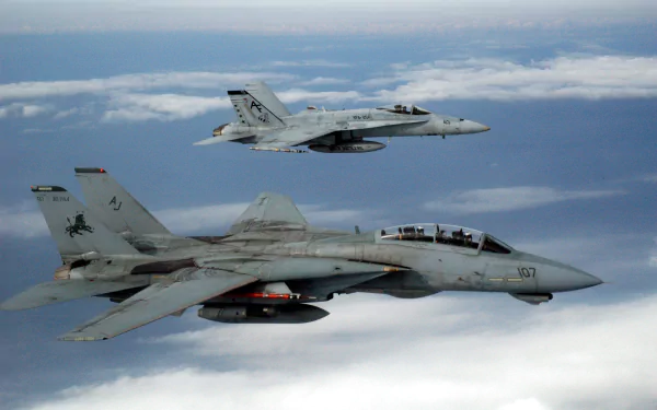 Grumman F-14 Tomcat in Action - HD Military Wallpaper