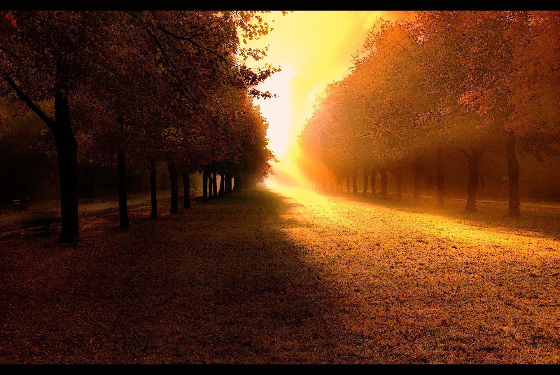 Autumn Radiance HD Wallpaper