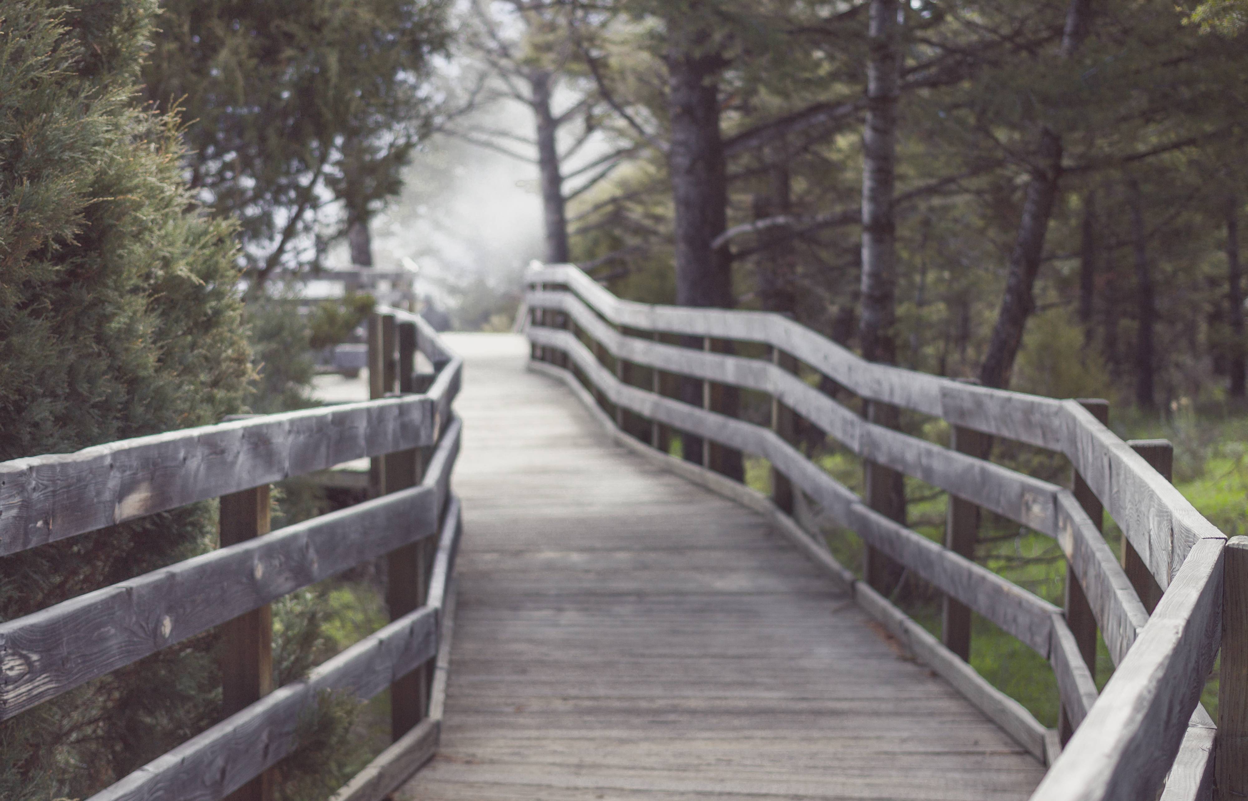 Download Man Made Path 4k Ultra HD Wallpaper