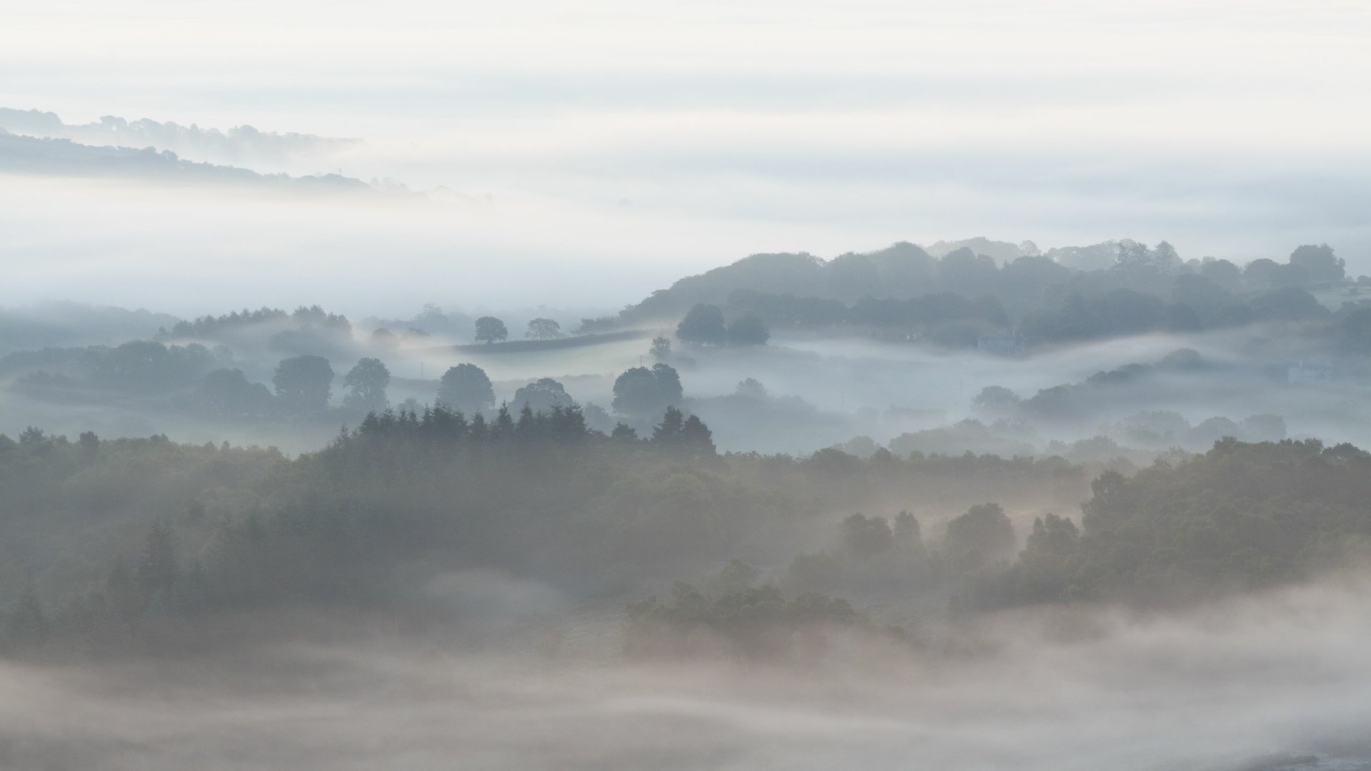 Download Nature Fog 4k Ultra HD Wallpaper