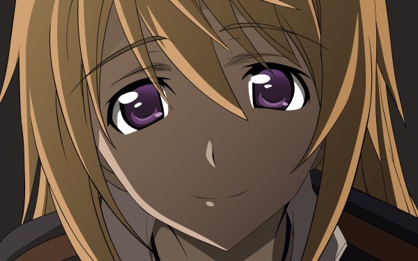 Infinite Stratos - Desktop Wallpapers, Phone Wallpaper, PFP, Gifs, and ...
