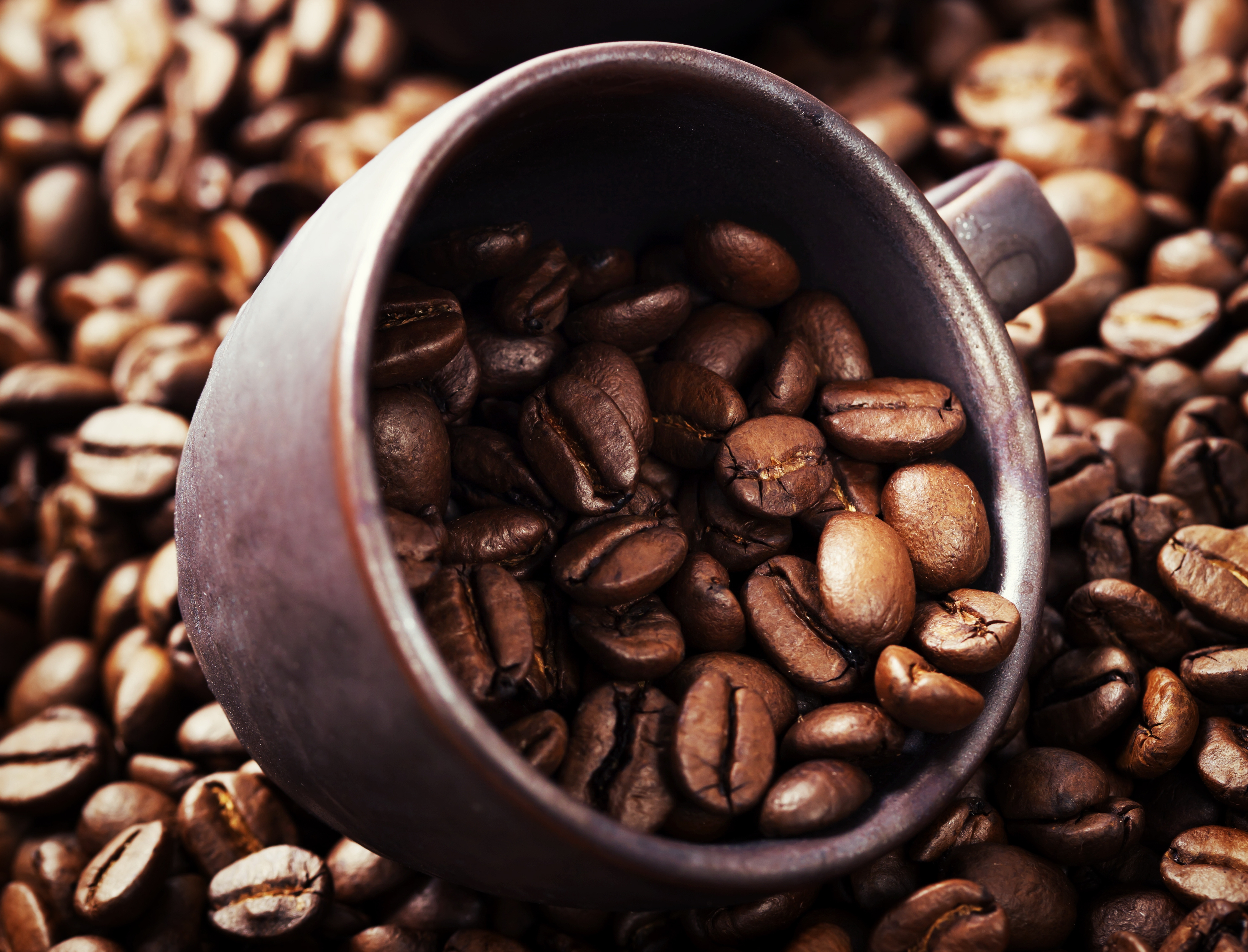 Download Cup Coffee Beans Food Coffee 4k Ultra HD Wallpaper