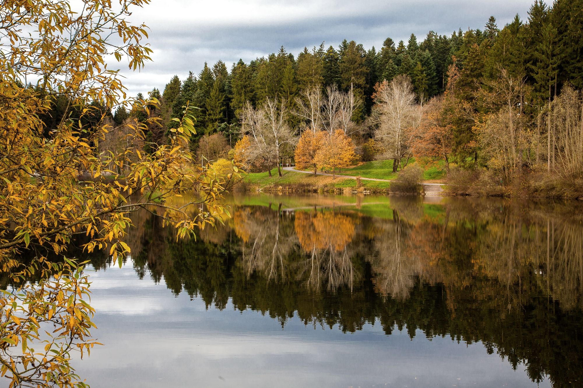Download Tree Path Landscape Nature Water Lake Fall Reflection HD Wallpaper