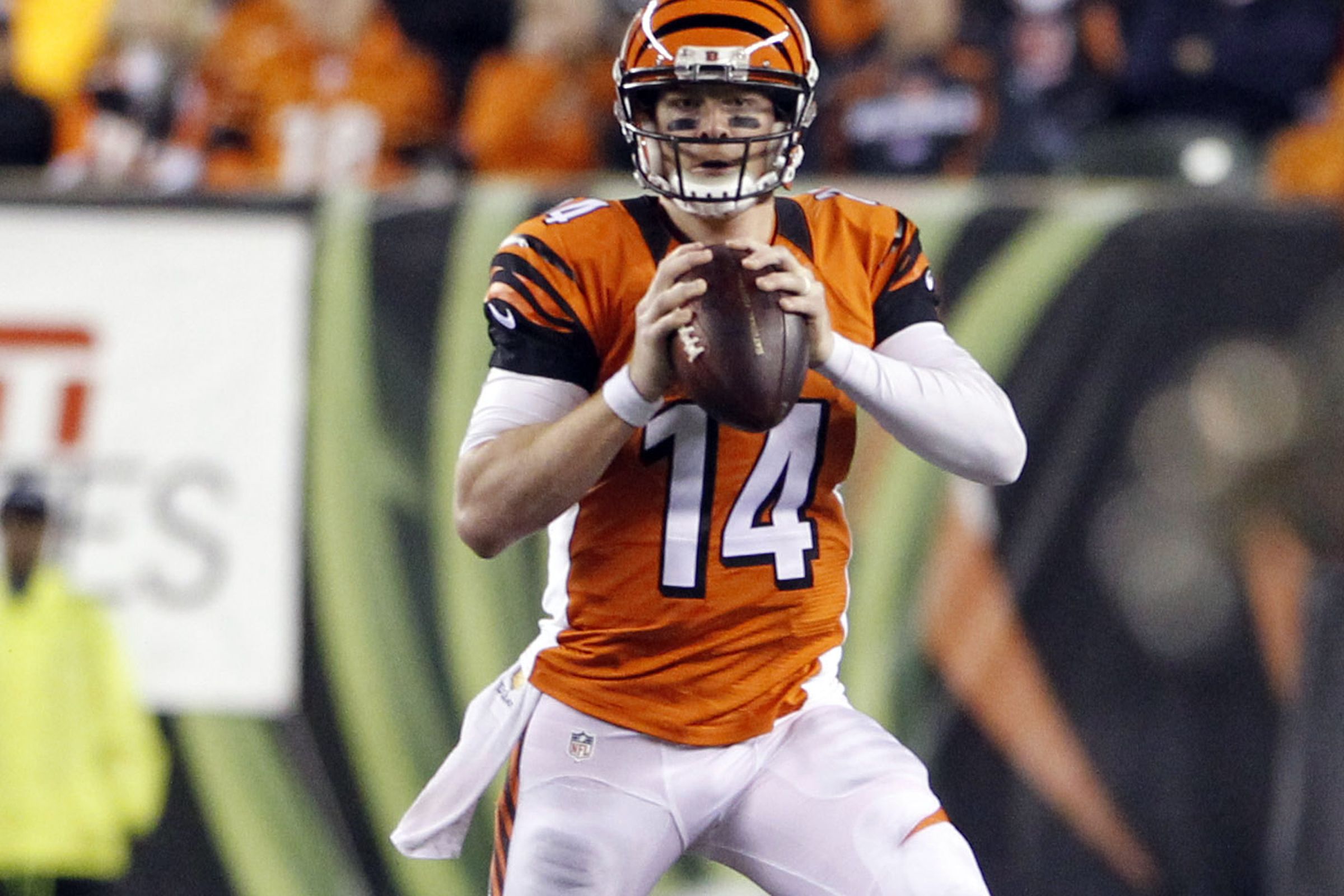 Download Cincinnati Bengals Sports HD Wallpaper