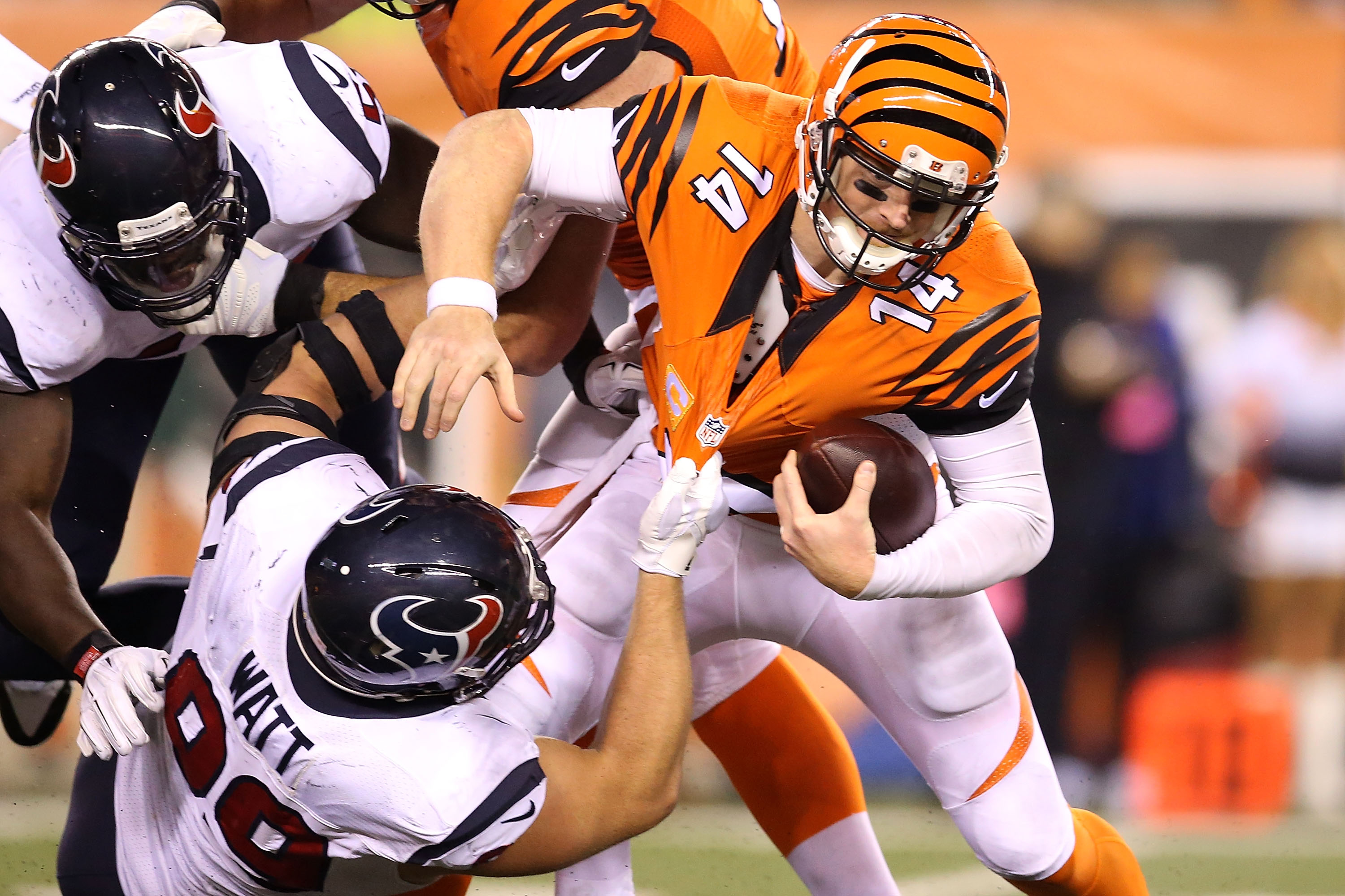 Cincinnati Bengals HD Wallpaper