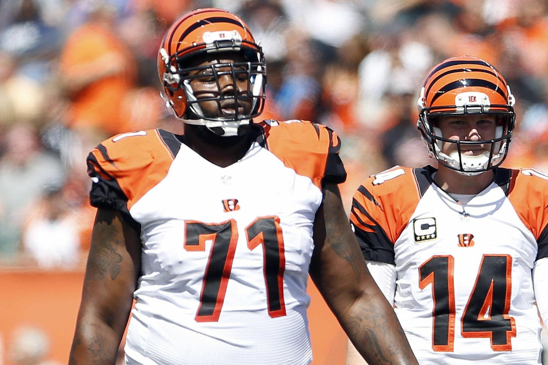 Download Cincinnati Bengals Sports HD Wallpaper | 2400x1600 | Wallpaper ...