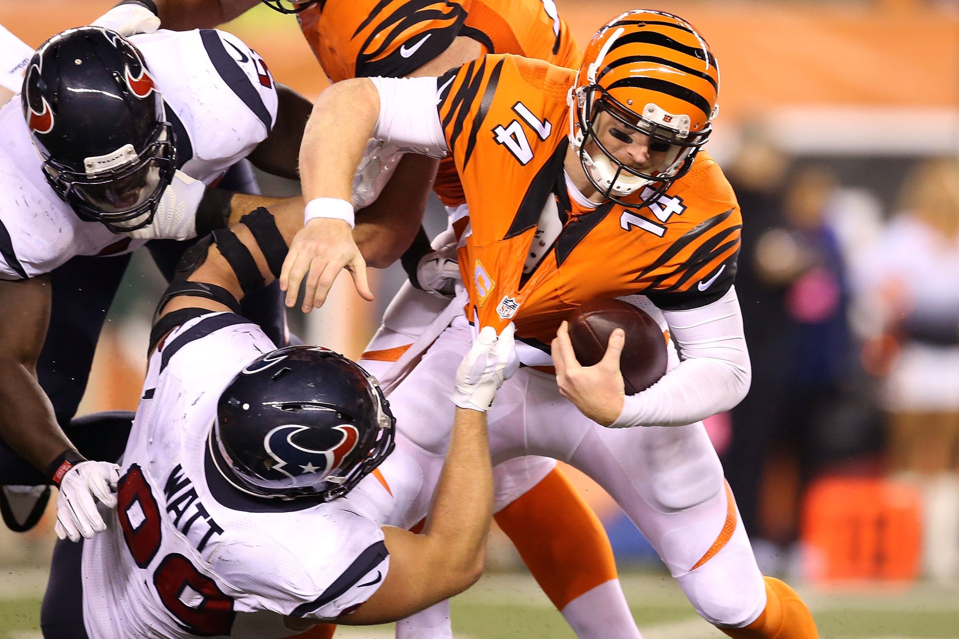 Download Cincinnati Bengals Sports HD Wallpaper