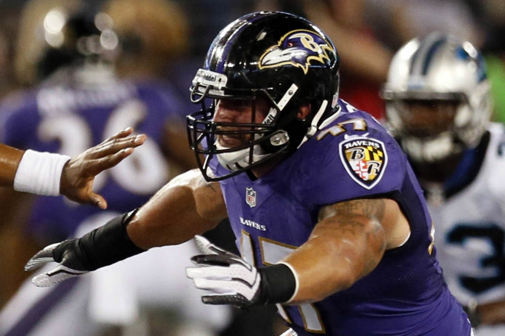 Download Baltimore Ravens Sports HD Wallpaper