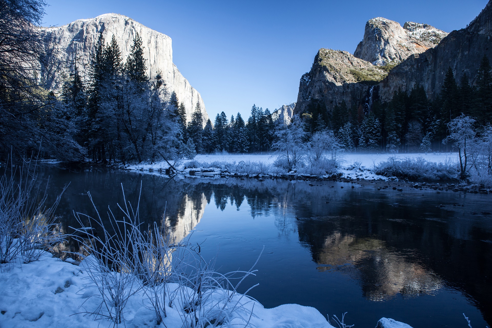Download Tree Reflection River Snow Nature Winter HD Wallpaper