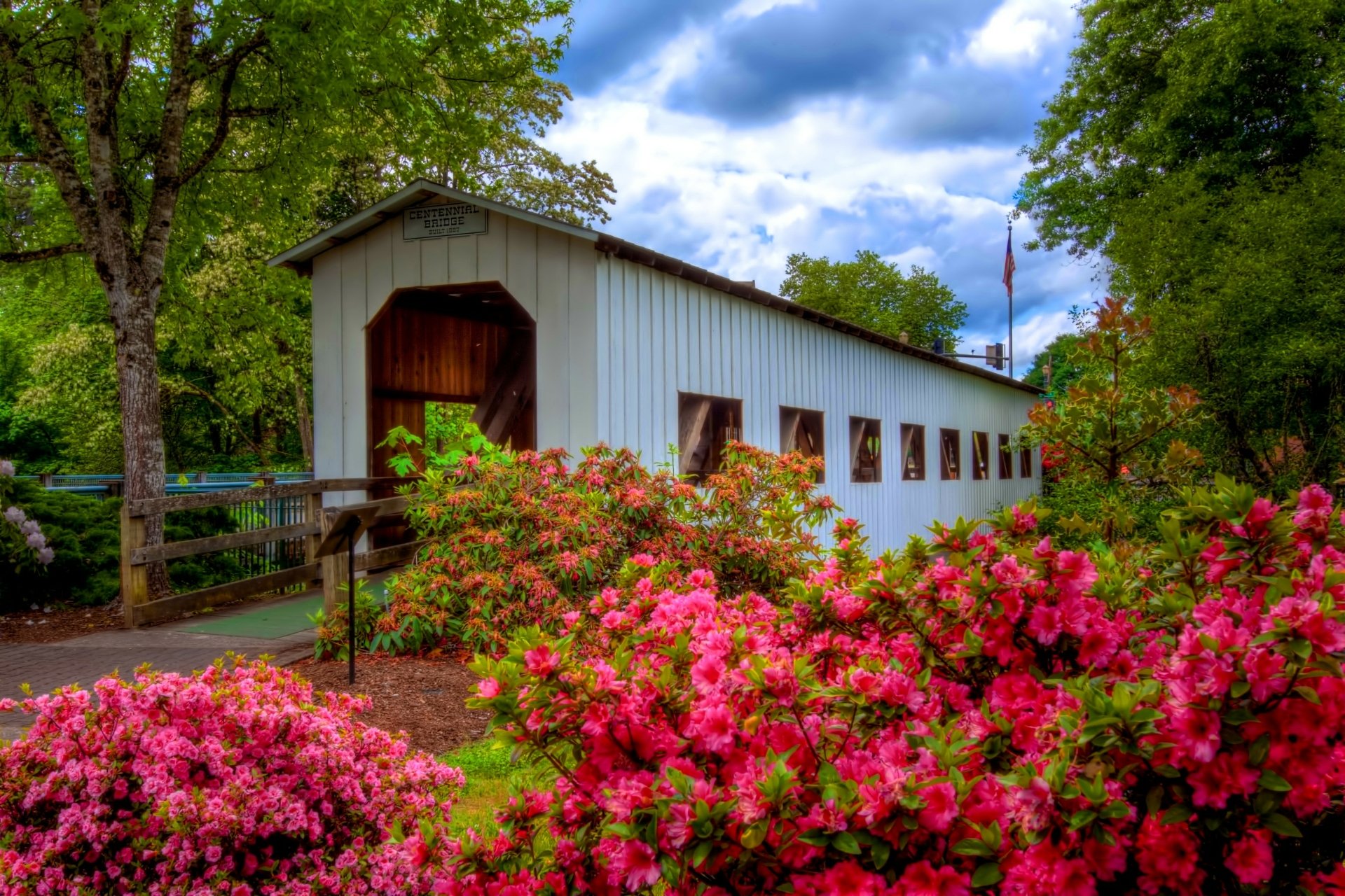 Spring Blossoms Bloom Around a Charming White Covered Bridge – 4K Ultra ...