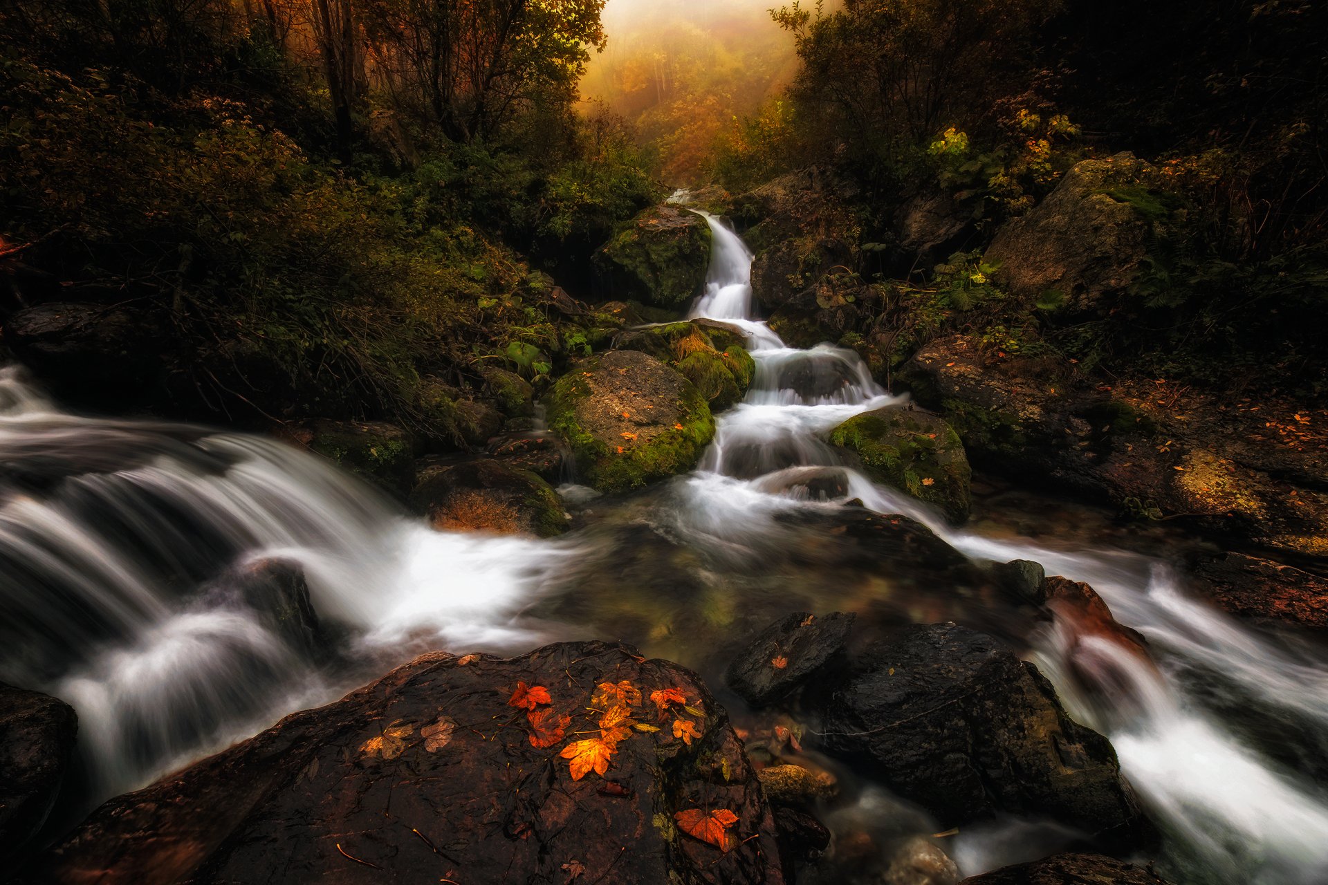 Download Nature Fall Foam Leaf Stream HD Wallpaper by Luca Libralato