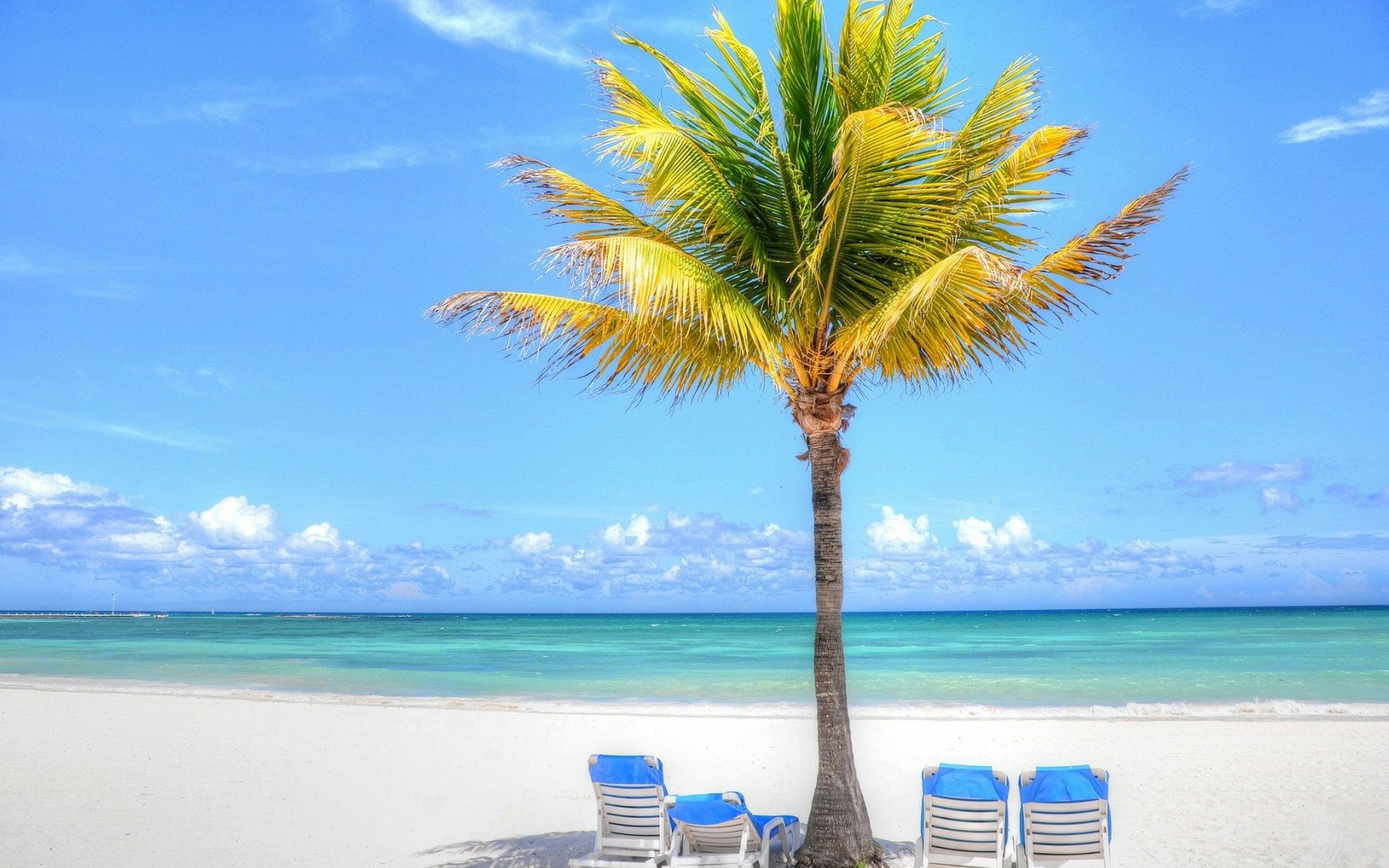 Download Horizon Nature Sky Ocean Blue Chair Palm Tree Tropics Tropical ...
