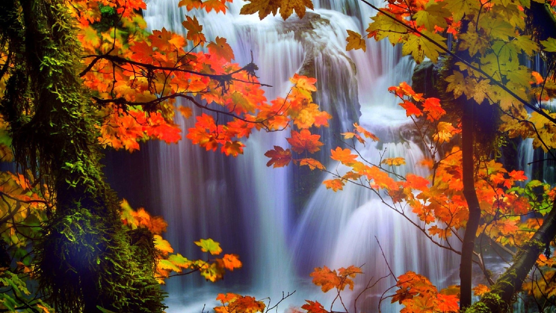 Autumn Leaves & Cascading Waterfall — 2K Quad HD Nature Wallpaper ...