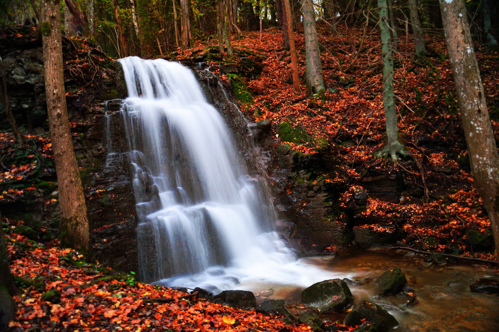 Descargar Red Falls