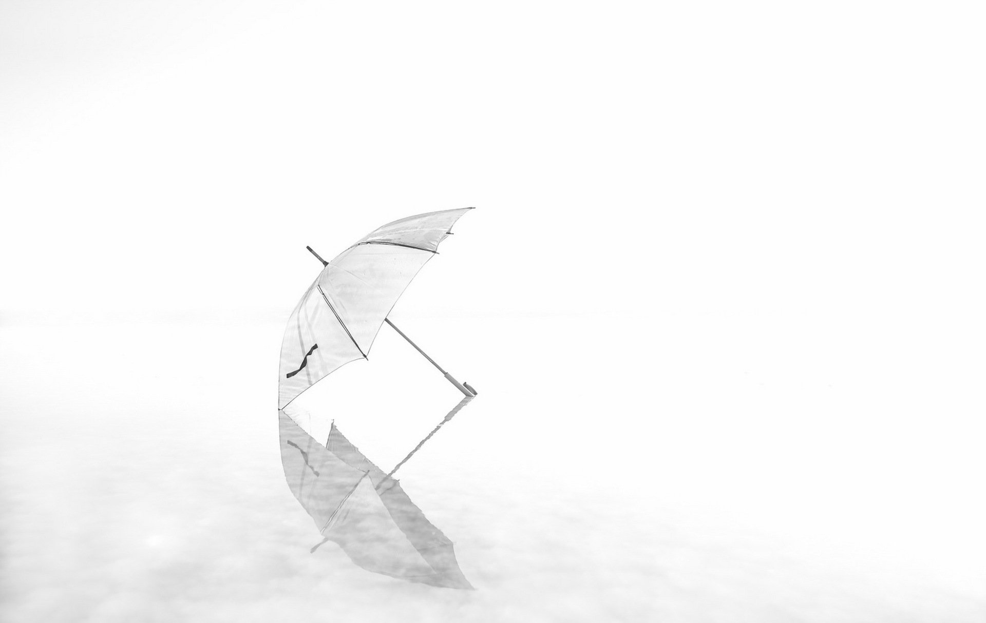 Download White Reflection Umbrella Photography Manipulation HD Wallpaper