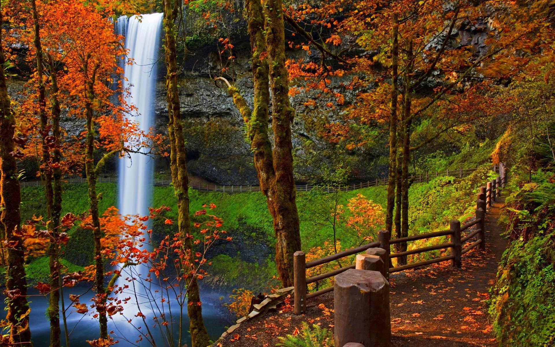 Download Fence Tree Fall Park Nature Waterfall HD Wallpaper