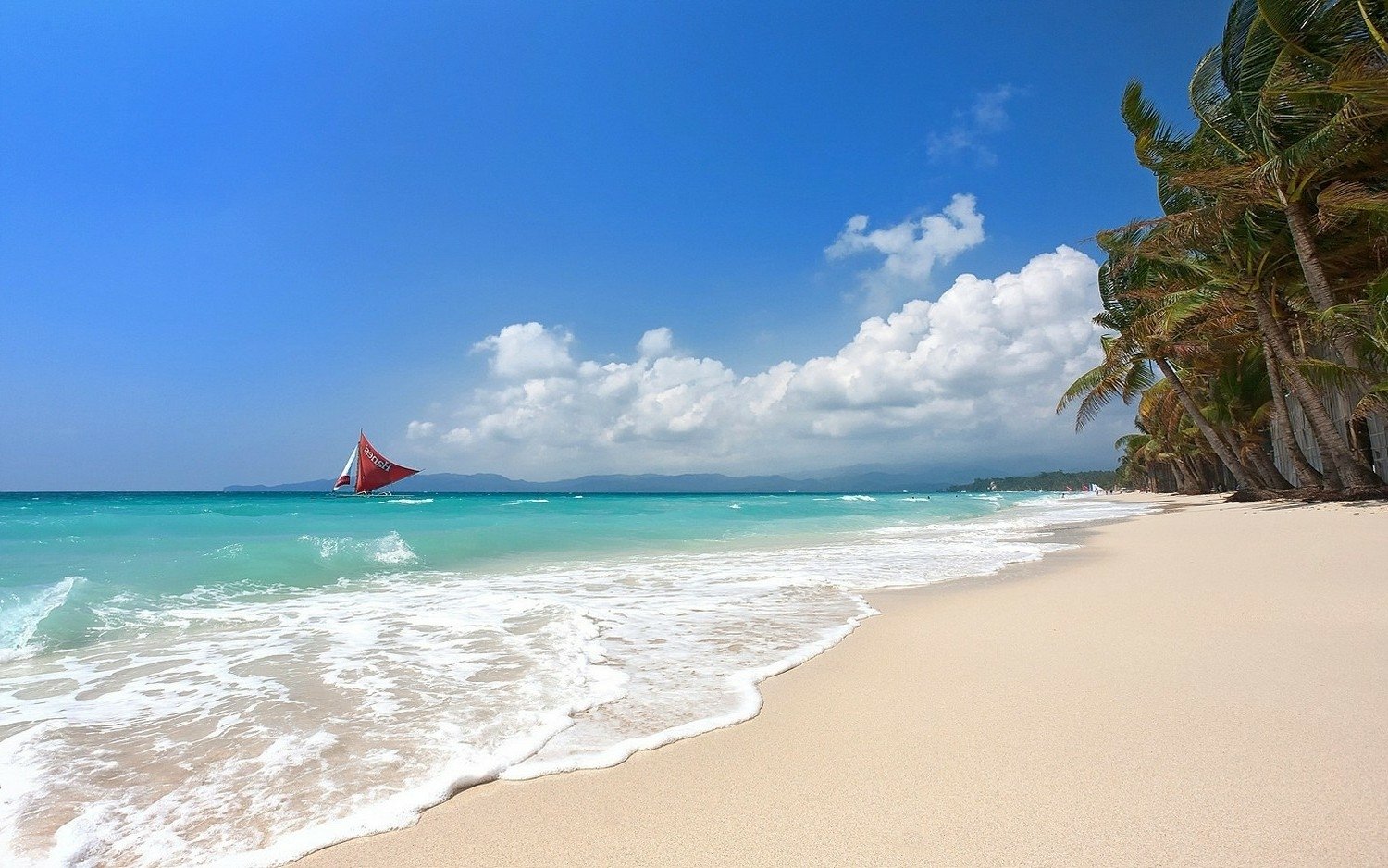 Turquoise Tide: Palm-Fringed Tropical Beach with Sailboat | 1500x938 ...
