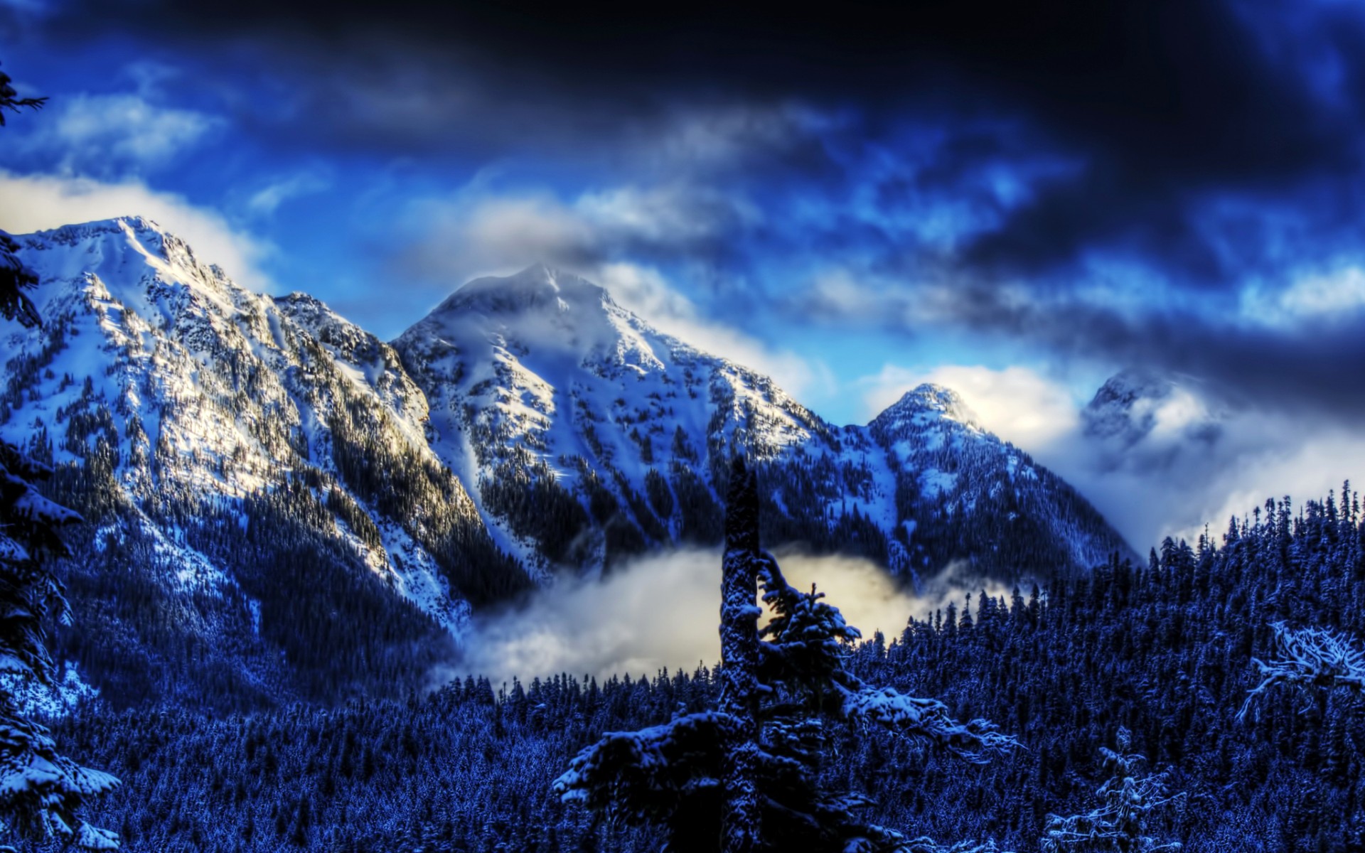 Snowy Mountain Majesty: Winter Forest Landscape HD Wallpaper