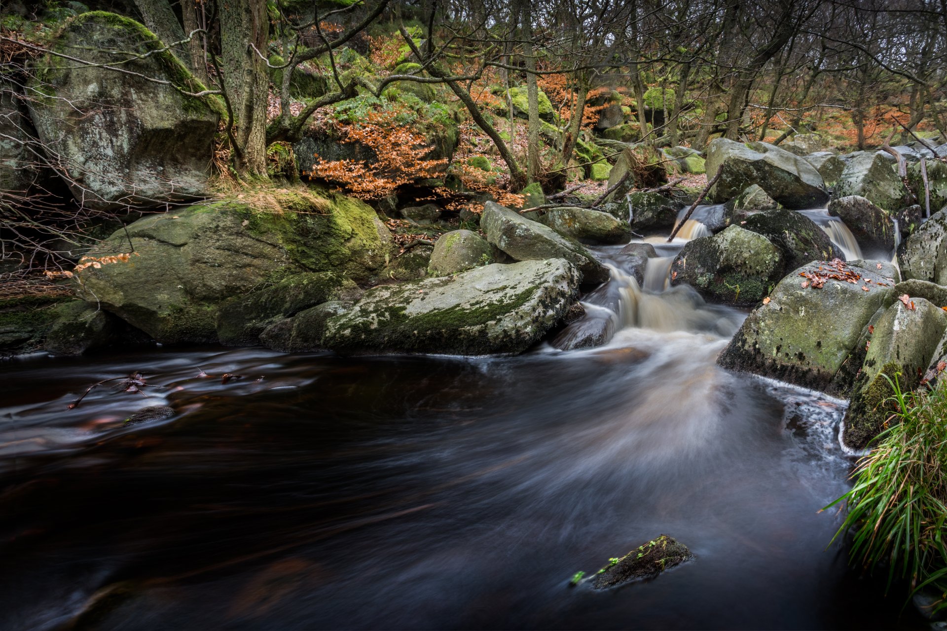 4K Ultra HD Tranquil Forest Stream in Nature’s Embrace by sophiaspurgin