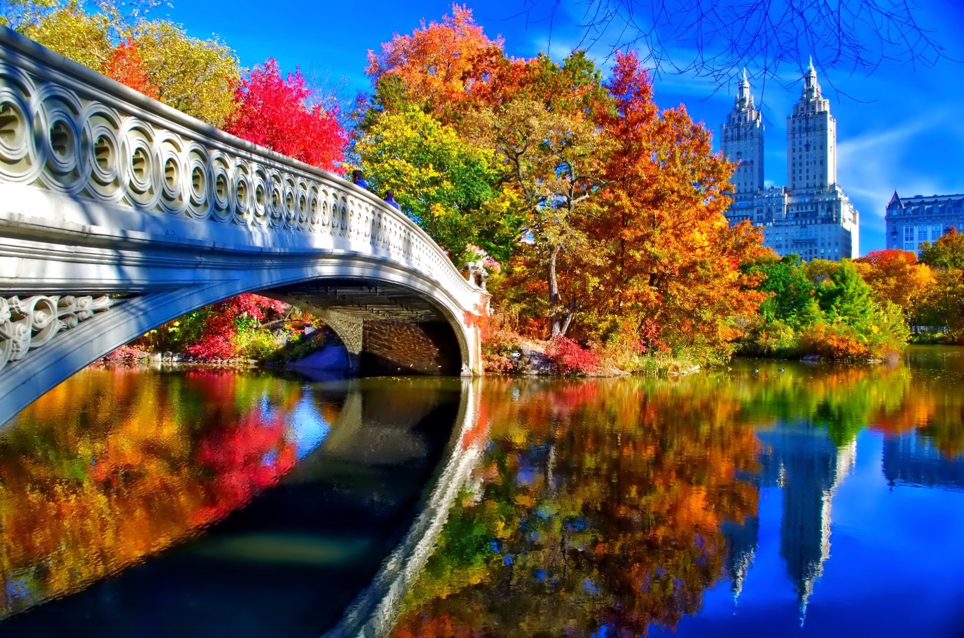 Download Bow Bridge Reflection Building Tree Fall New York Central Park Download Bow Bridge Reflection Building Tree Fall New York Central Park