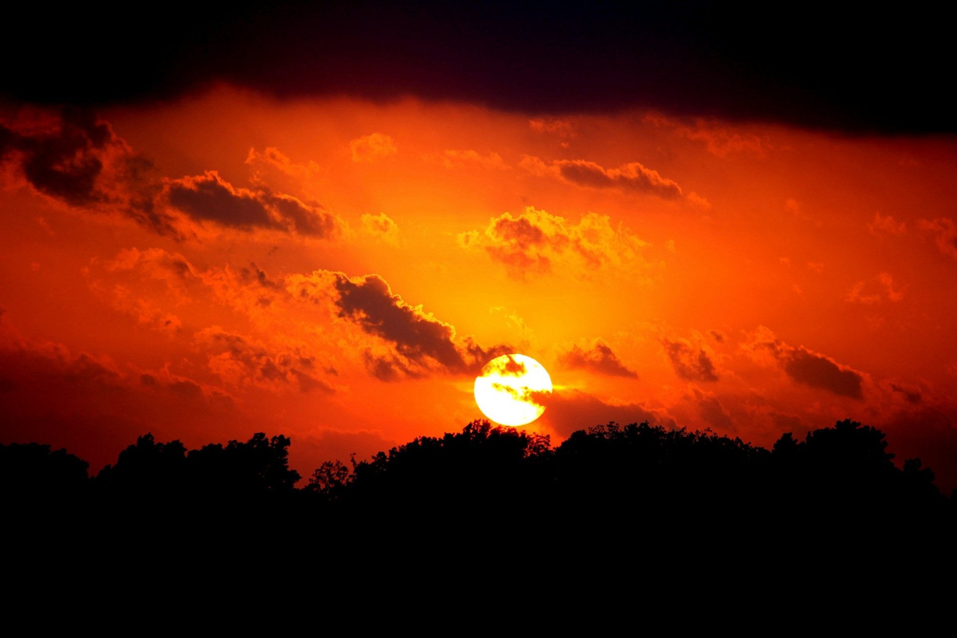 Download Tree Silhouette Yellow Orange (Color) Sky Sun Nature Sunset HD ...
