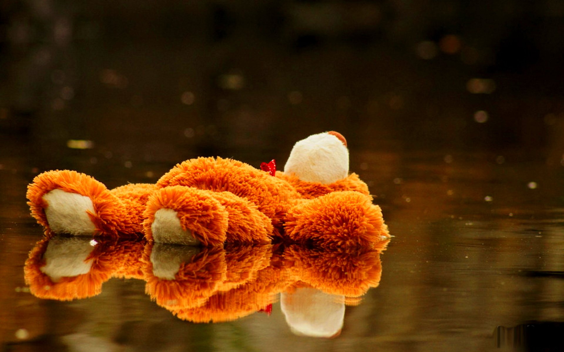 Download Reflection Teddy Bear Man Made Stuffed Animal HD Wallpaper